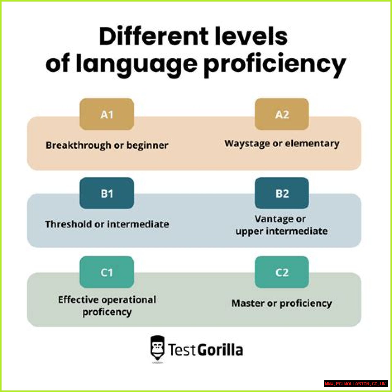 Unveiling Bad Bunny's Linguistic Mastery: English Proficiency Explored